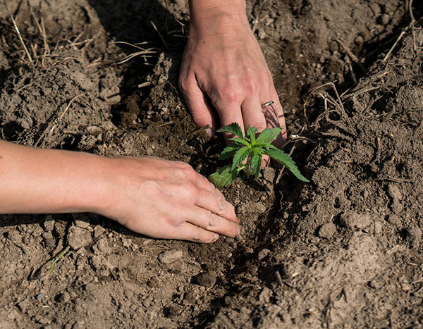 How The Preacher Can Grow in Compassion - Preaching Acts